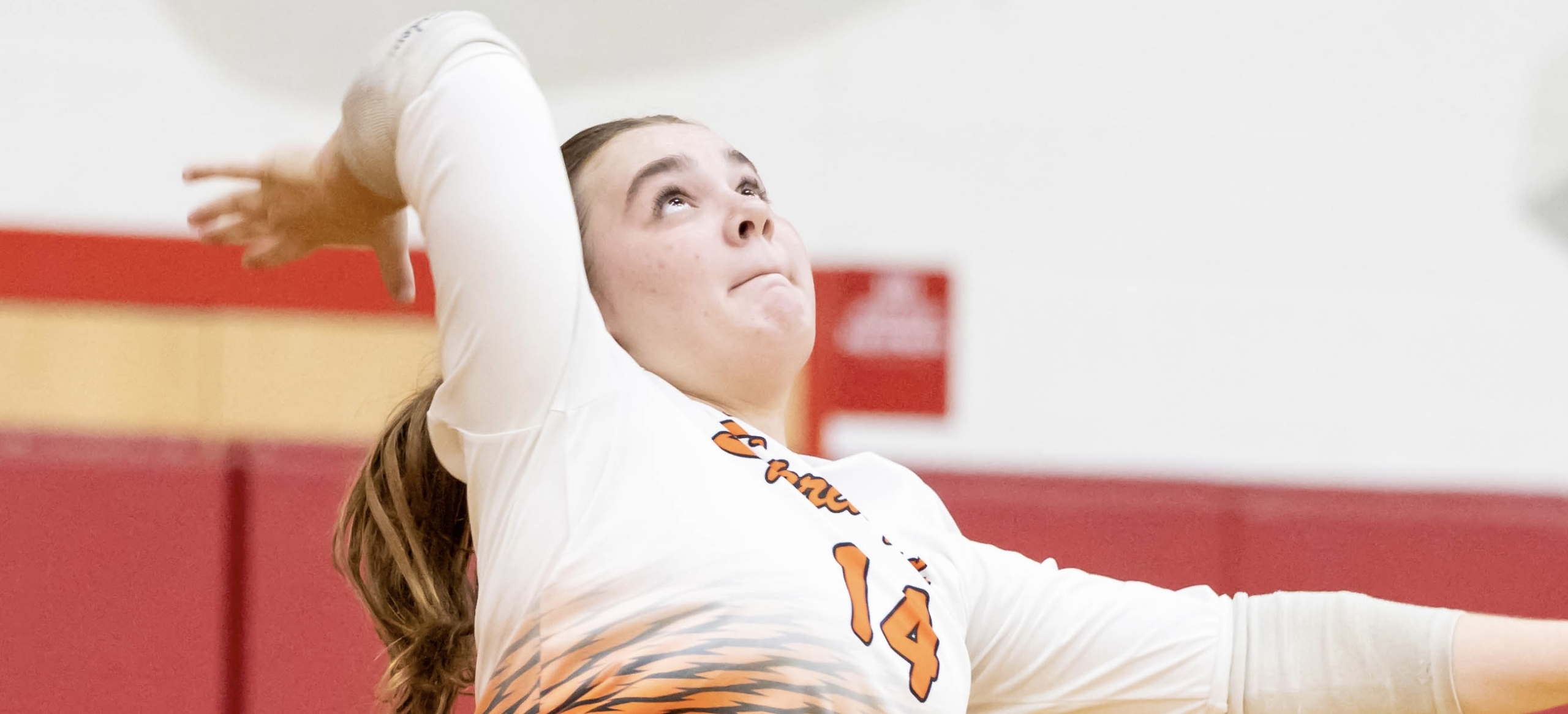 IT BETTER BE BAELYN - Your Sports Network