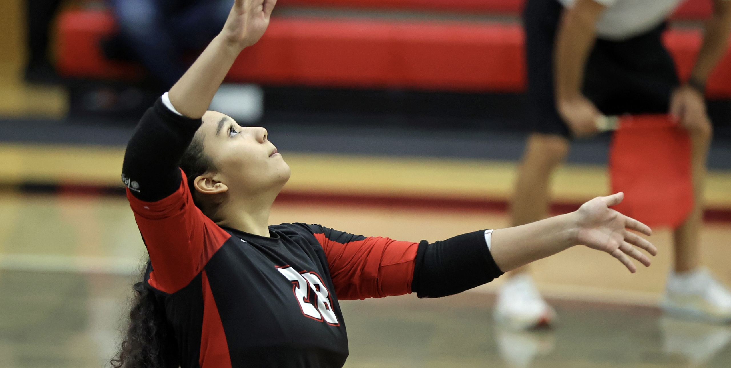 RED DEVILS OWN THE JUNGLE - Your Sports Network