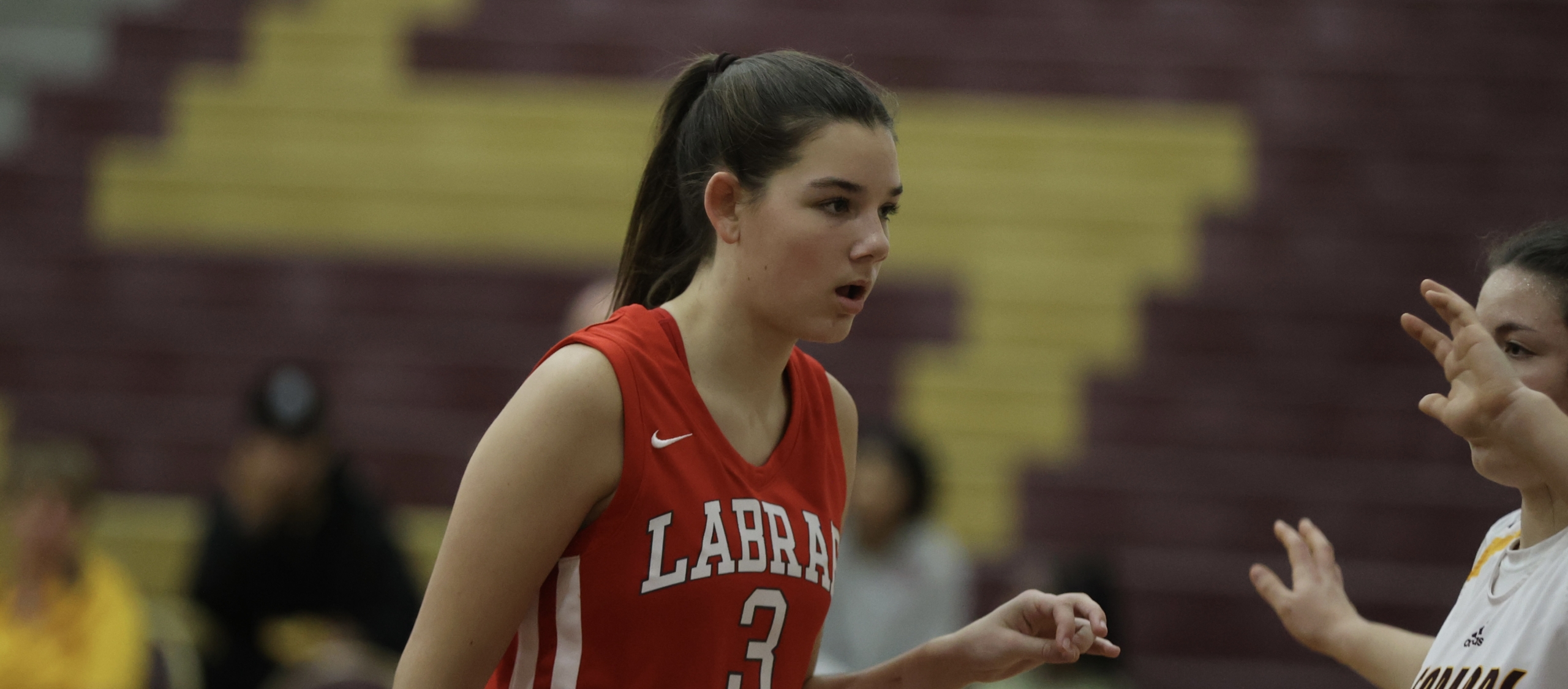LABRAE PAVES THEIR WAY PAST THE TIGERS - Your Sports Network